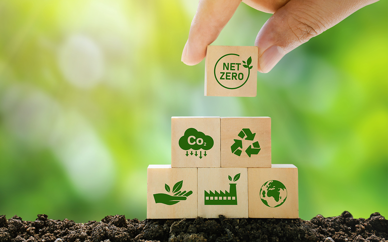 Innovation Agility in a Sustainability-driven Context