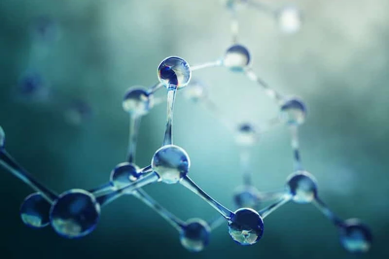 Chemicals, Materials & Nutrition: Growth Opportunities & Transformation