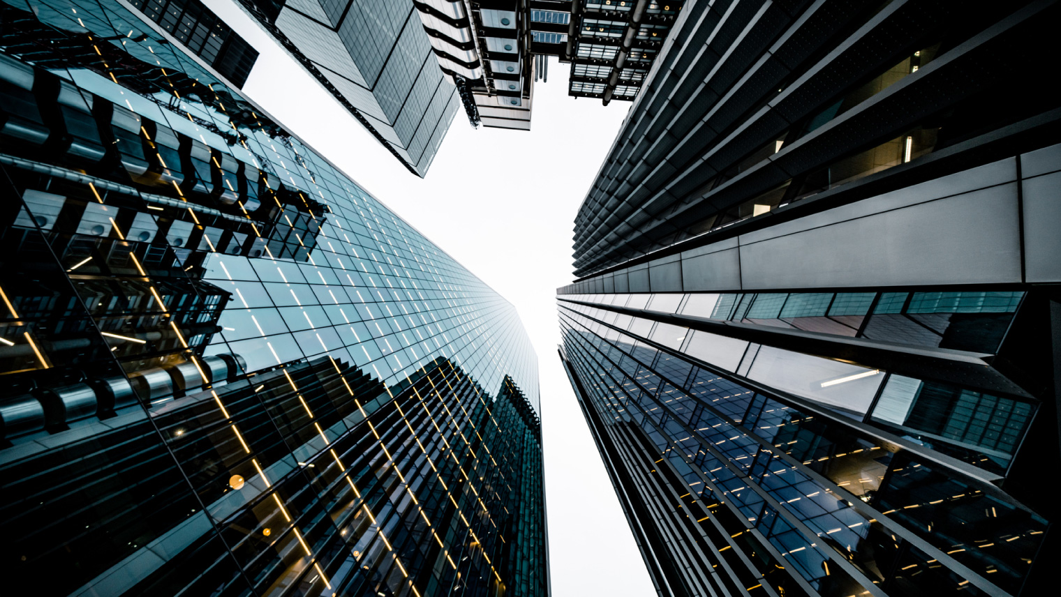 Opportunity Profiles | TechVision | Frost & Sullivan